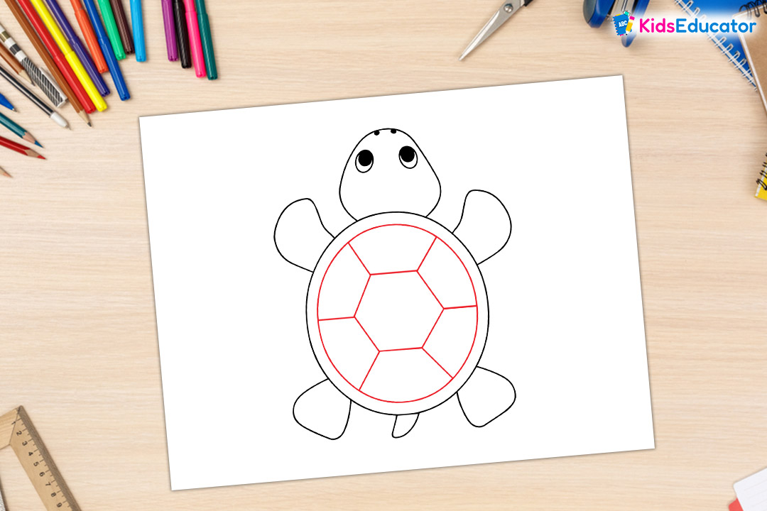 How to Draw a Turtle: Master the Art in 5 Simple Steps - Kidseducator